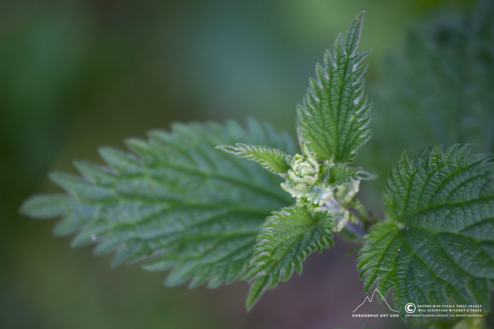 How To Get That Faded matte Effect In Lightroom how-to-get-that-faded-matte-effect-in-lightroom